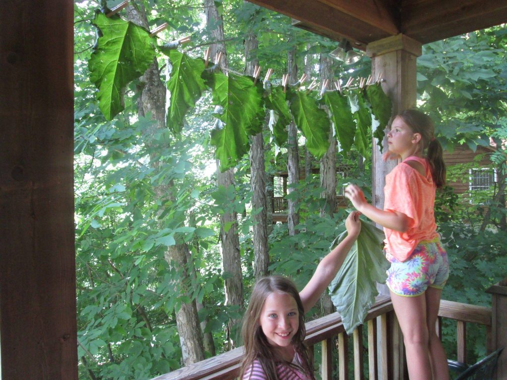 Curses and Blessings…BURdock